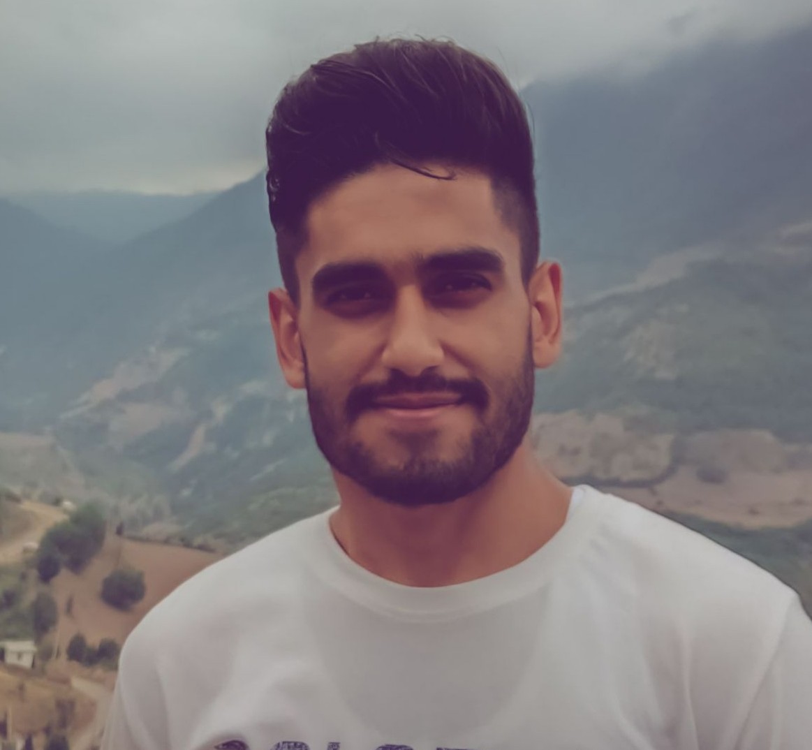 Mohammadreza Sarayloo